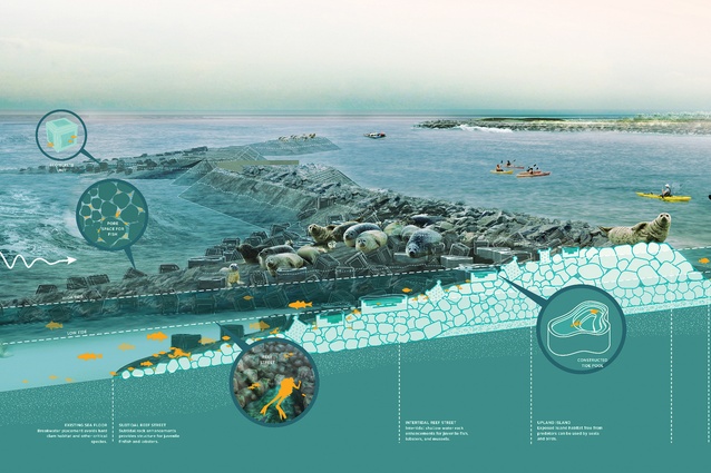 Kate Orff: translating research into action | Architecture Now